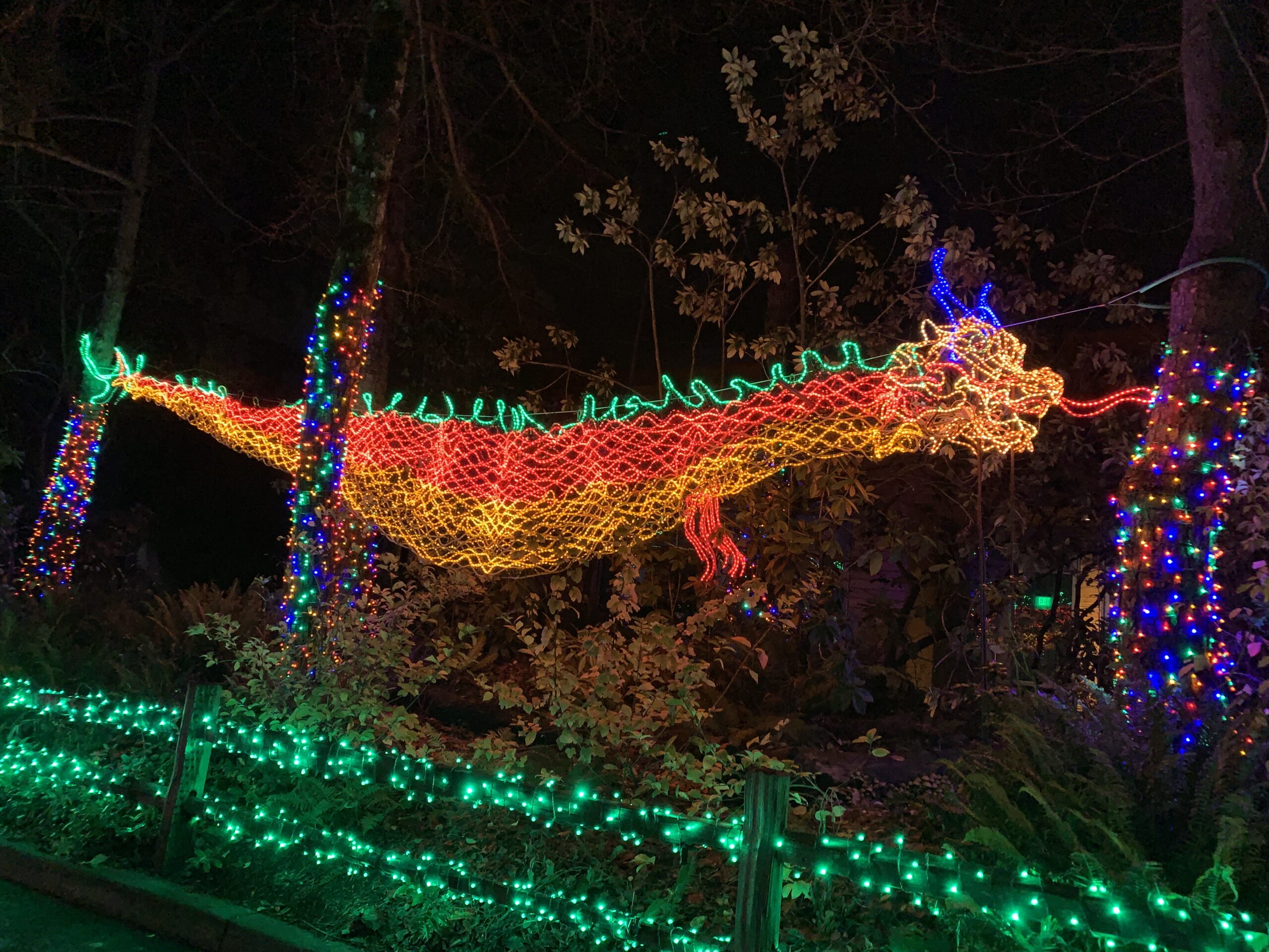 Drive-Through ZooLights is a Must-Do – KidTripster