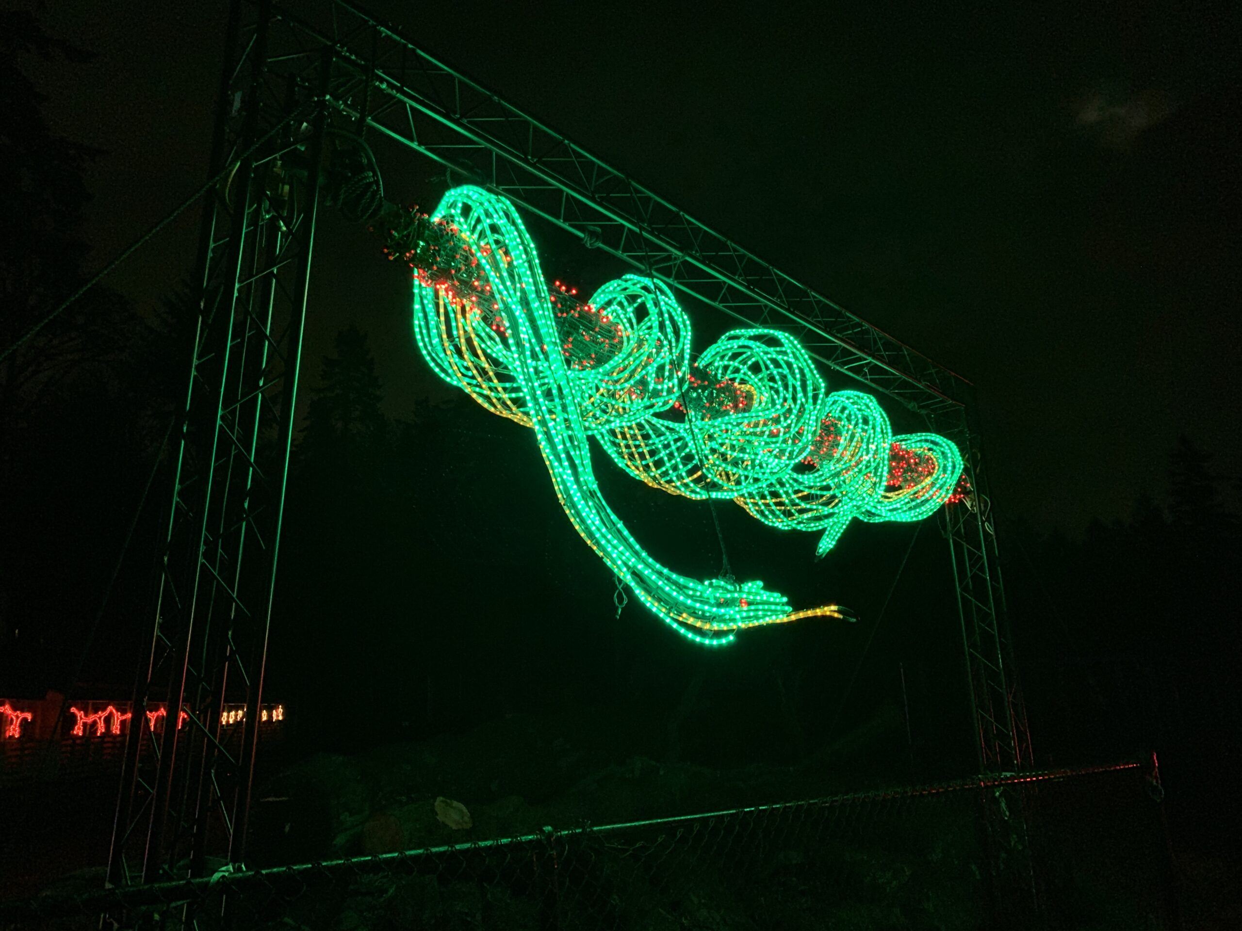 Drive-Through ZooLights is a Must-Do – KidTripster